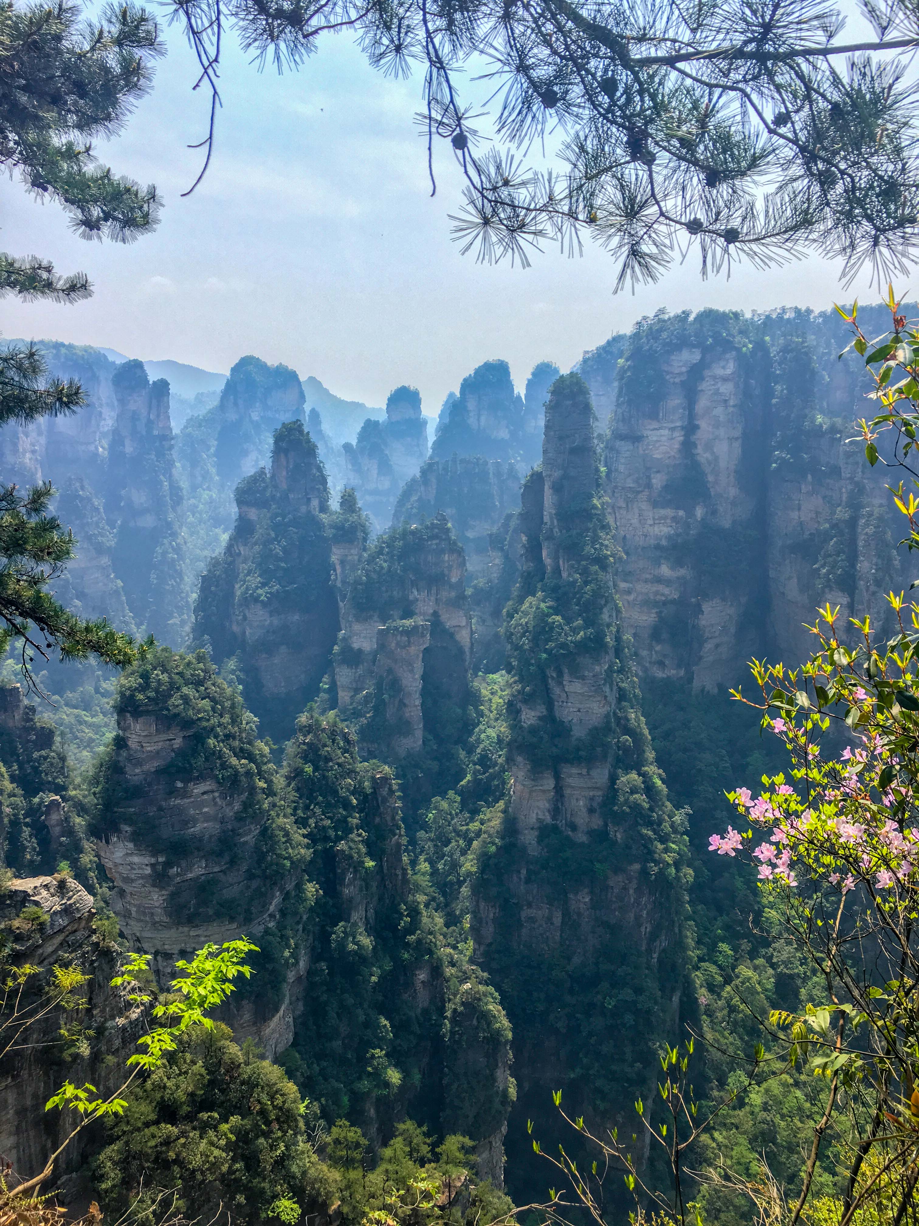 Avatar Mountains China
