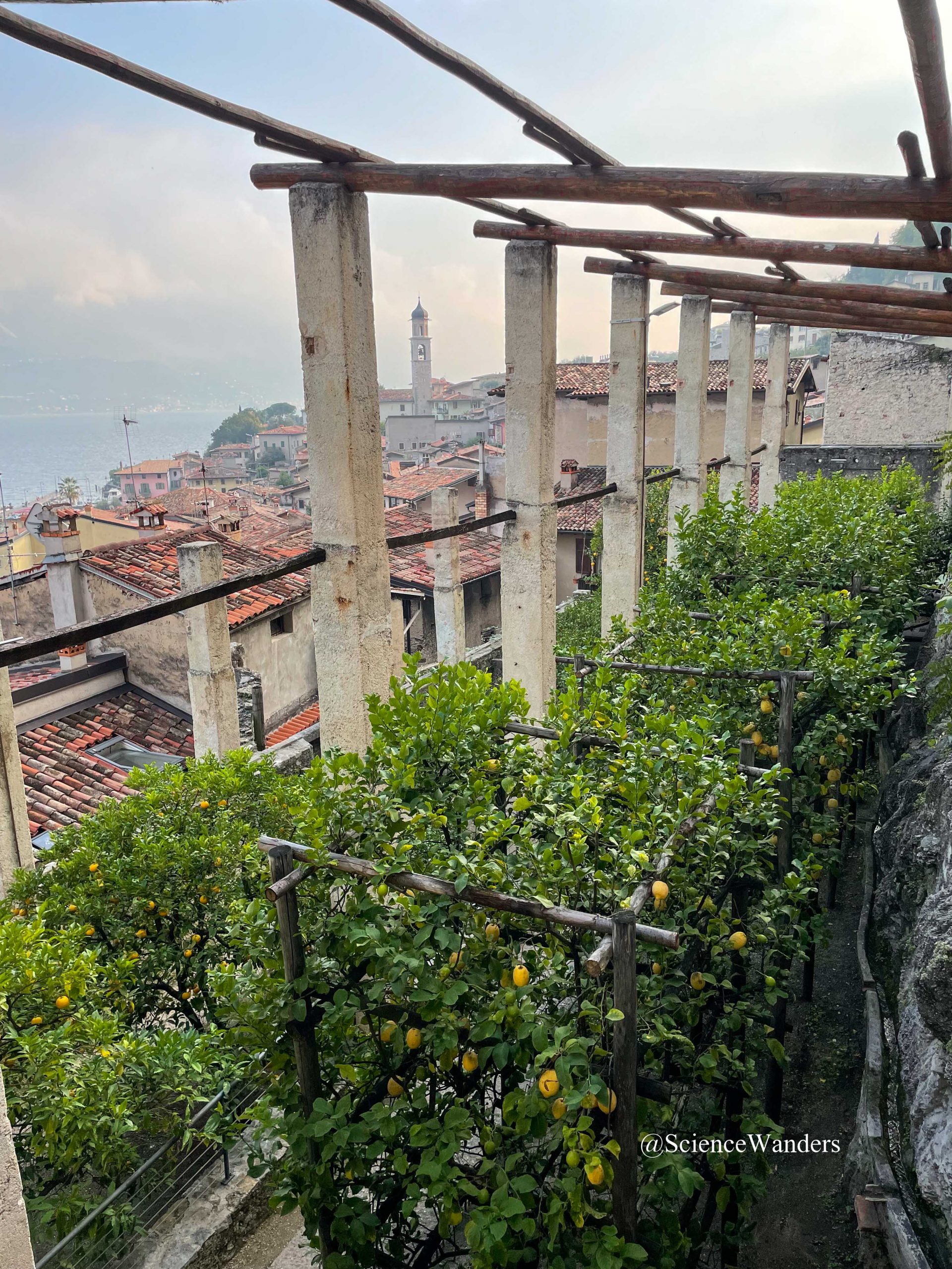 Limone sul Garda’s lemon houses - Science Wanders