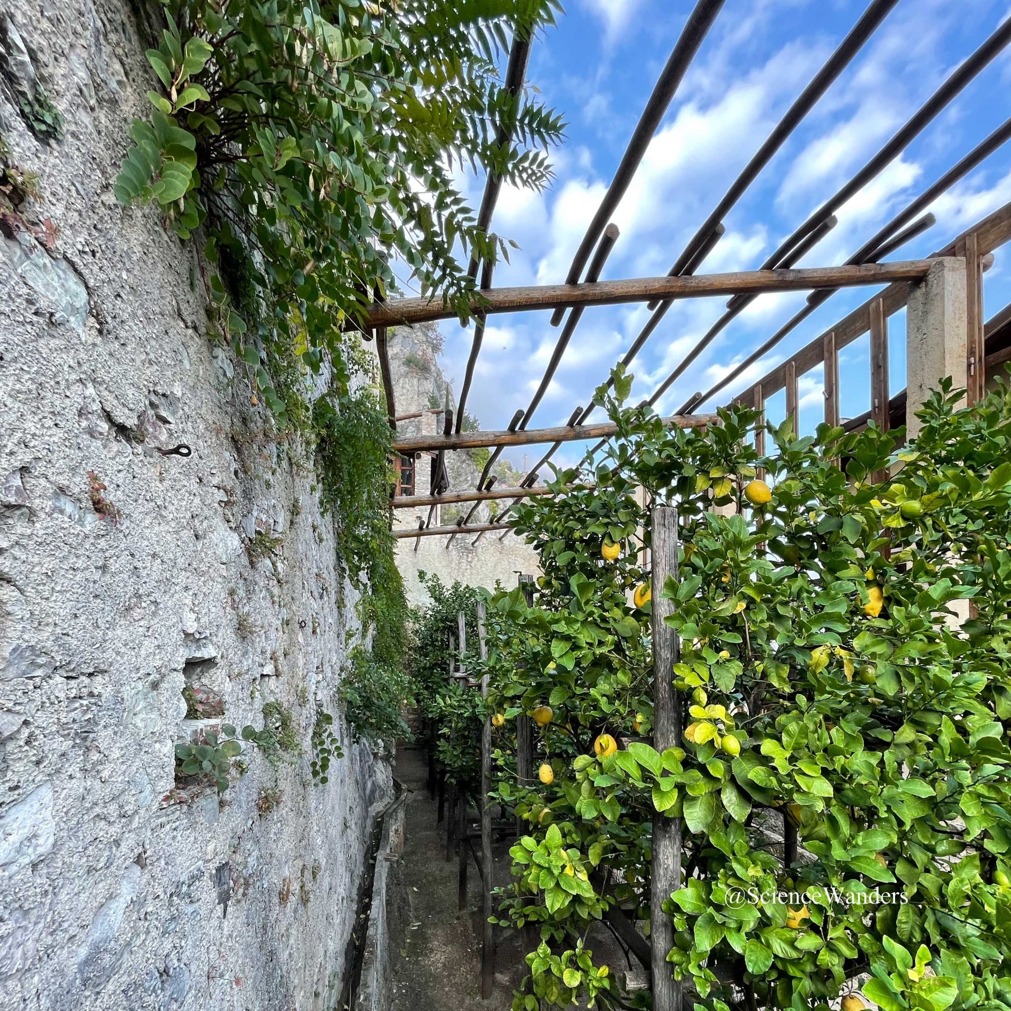 Limone sul Garda’s lemon houses - Science Wanders